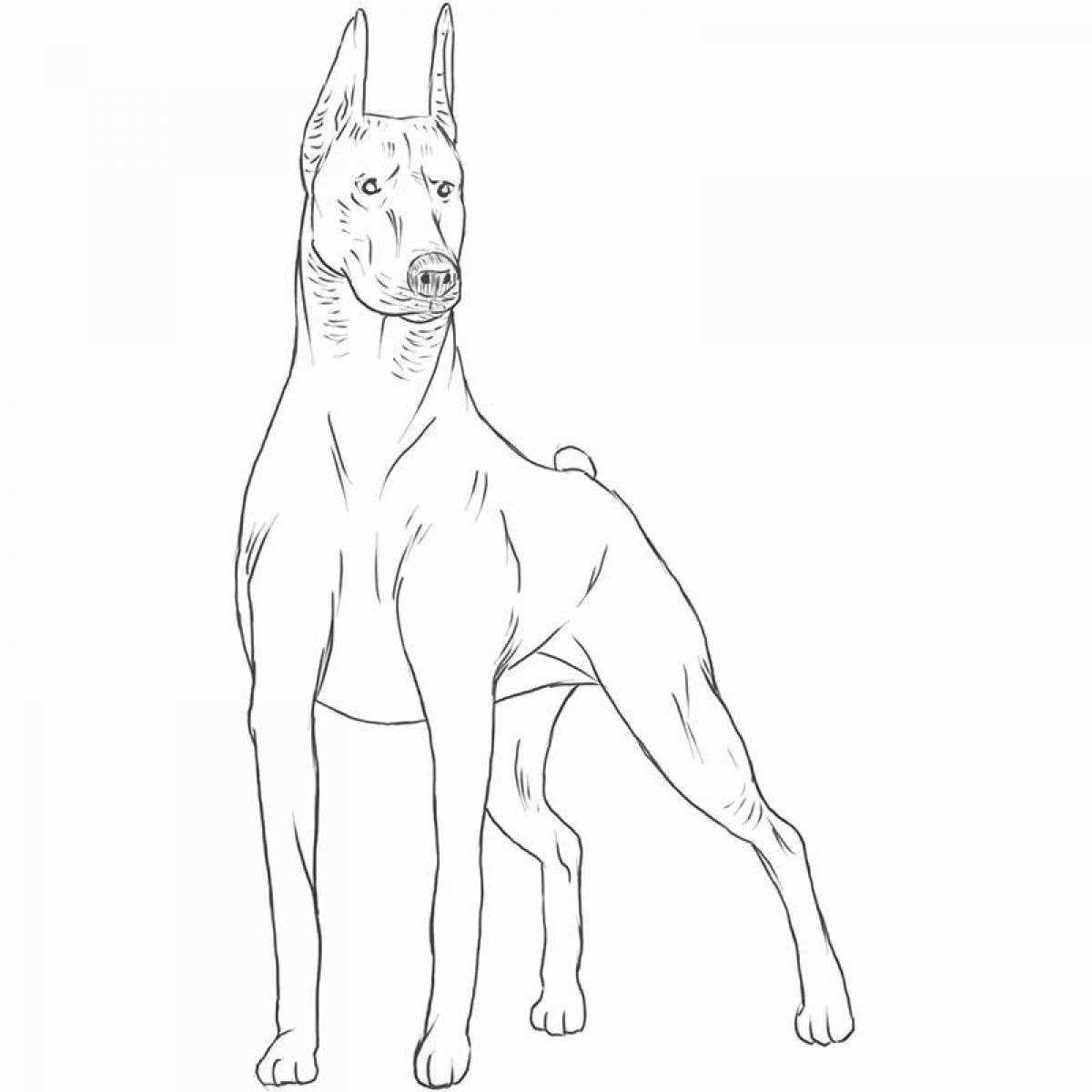 All You Need to Know About Doberman: Complete Datasheet