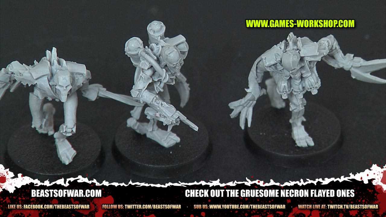 Unlock the Secrets: Flayed Ones Datasheet Revealed!