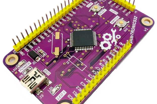 Unlocking the Potential of PIC32: A Comprehensive Datasheet Guide