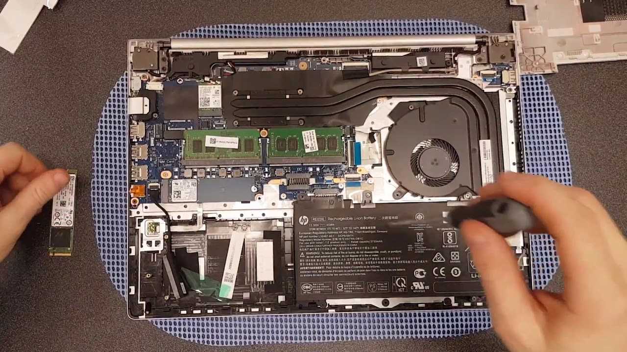 Explore the HP 450 G10 Datasheet for Comprehensive Specifications